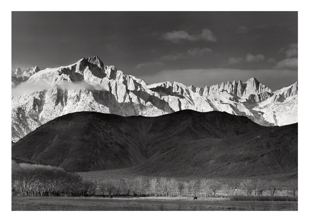 WINTER SUNRISE - ANSEL ADAMS NOTE CARD